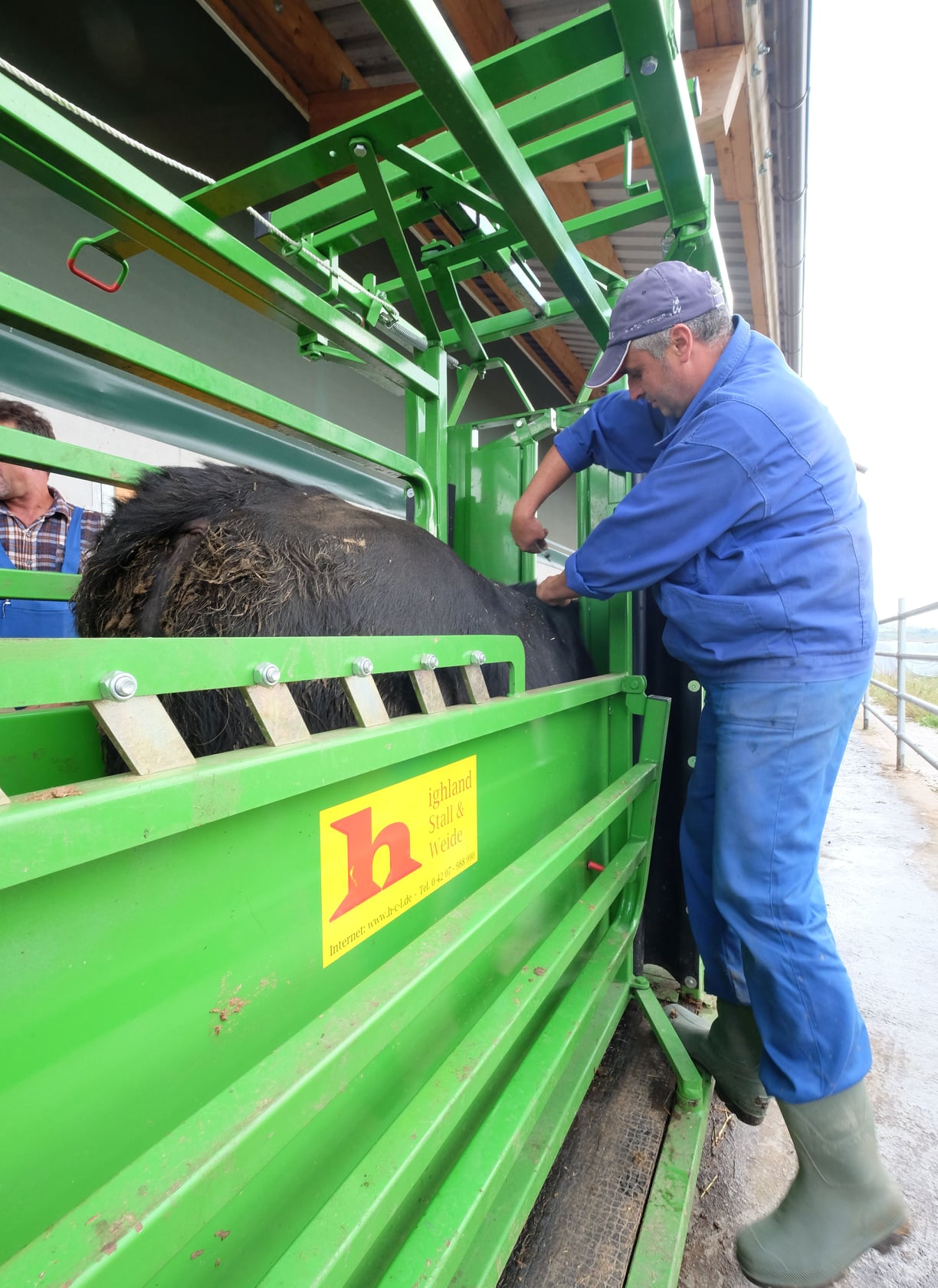 15 ani de excelență în producția de carne de vită ANGUS în România ...